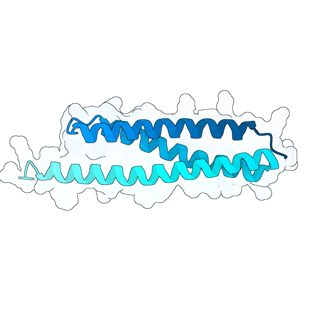 Protein Binding Targets | Proteinbase